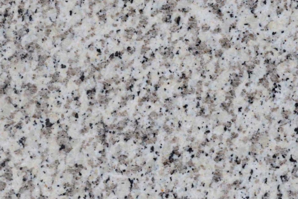 WHITE SHORE – Best Cheer Stone Group